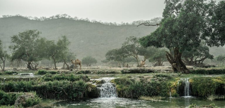 10 Places To Visit & Magical Khareef To Enjoy In Salalah Oman